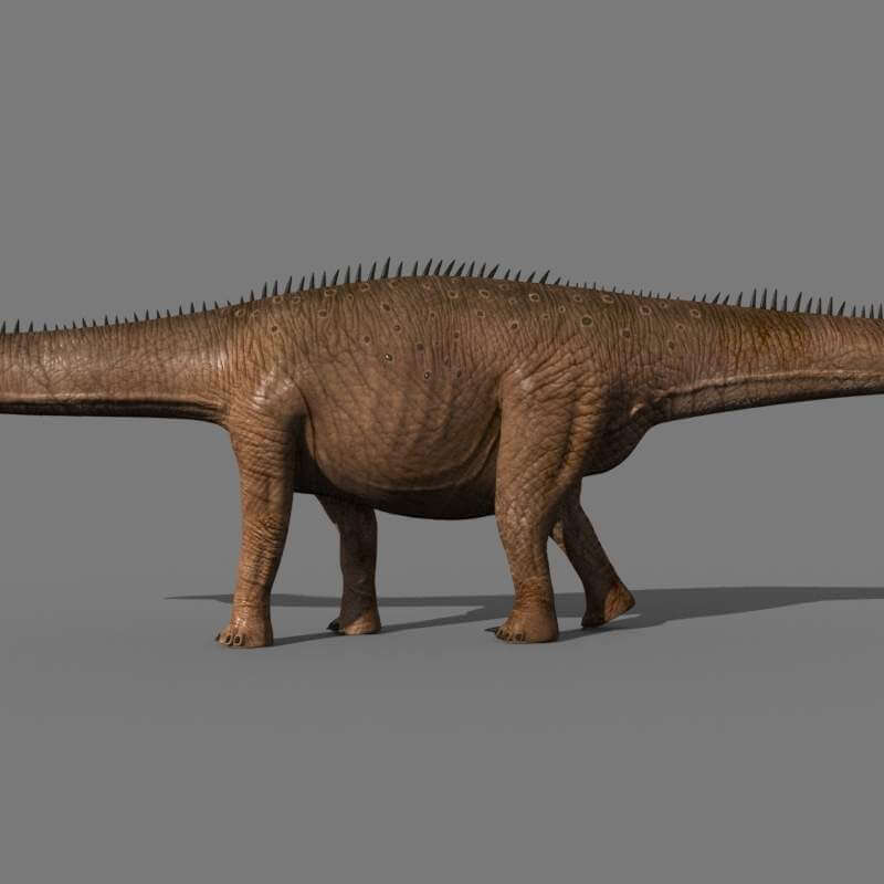 Diplodocus Dinosaur - 3D Model by Virtual creator