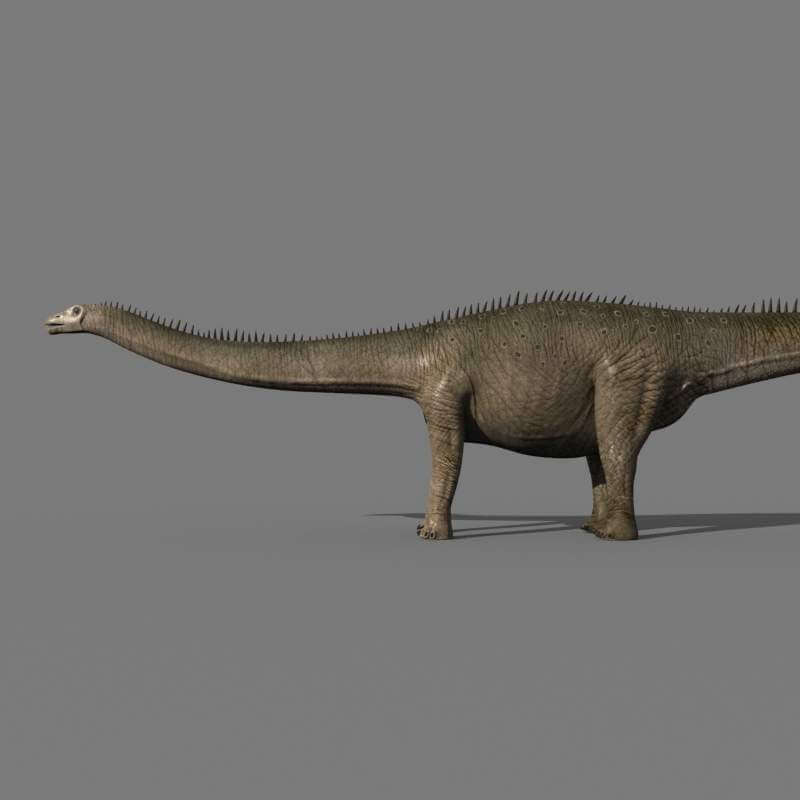 Diplodocus Dinosaur - 3D Model by Virtual creator