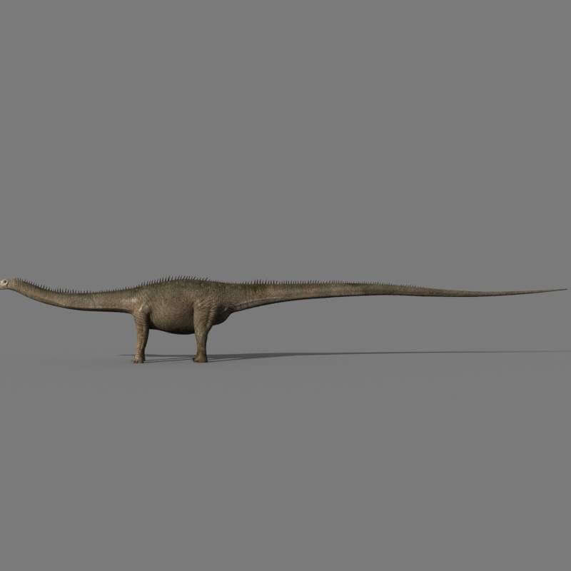 Diplodocus Dinosaur - 3D Model by Virtual creator