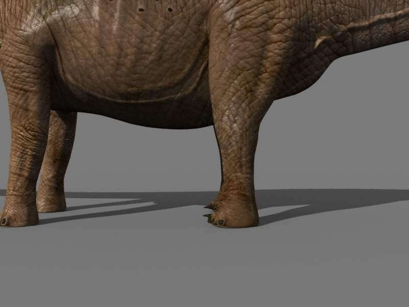 Diplodocus Dinosaur - 3D Model by Virtual creator