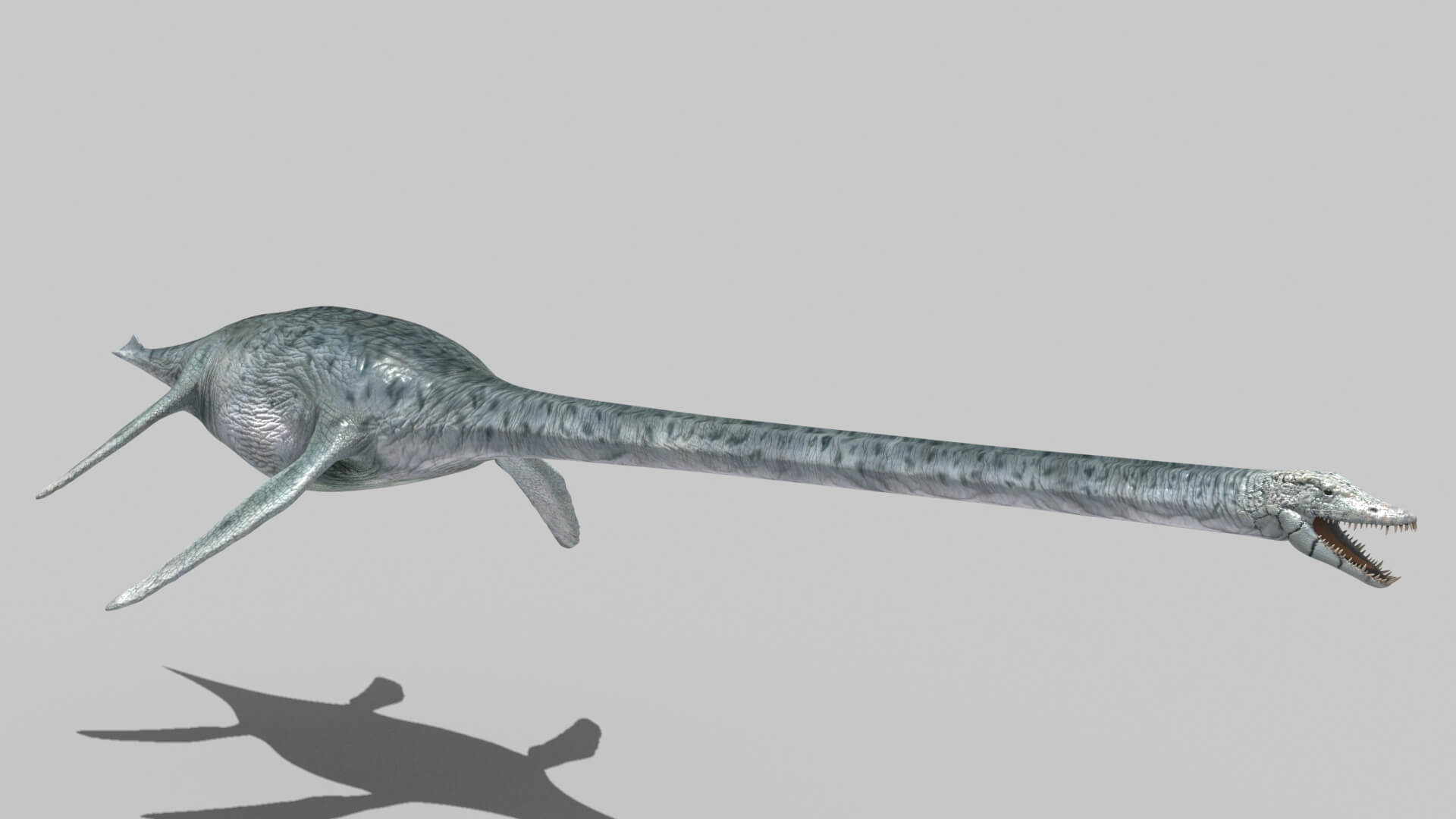 Real Plesiosaur Elasmosaur - 8K 3D Model by Virtual creator