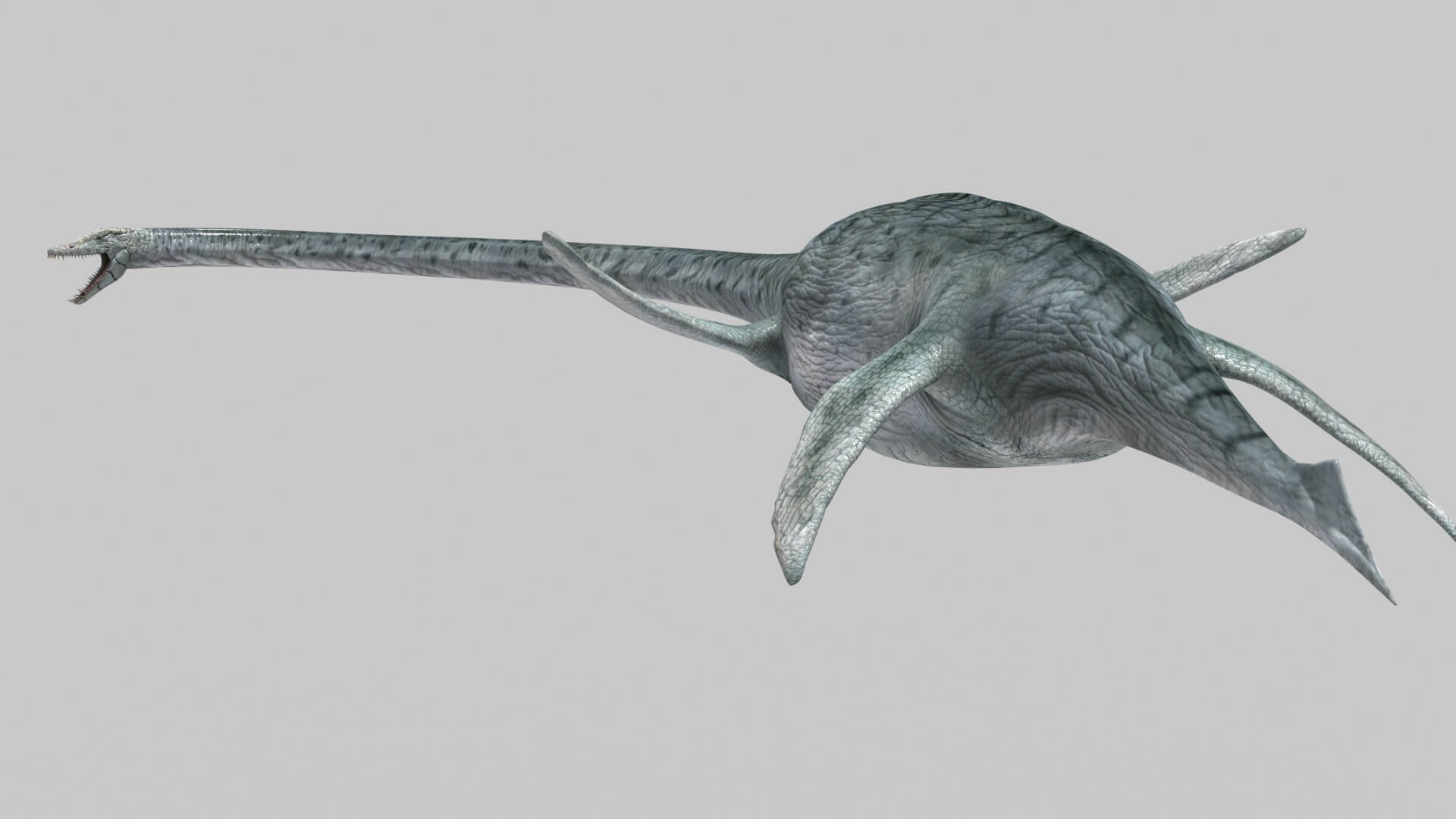 Real Plesiosaur Elasmosaur - 8K 3D Model by Virtual creator