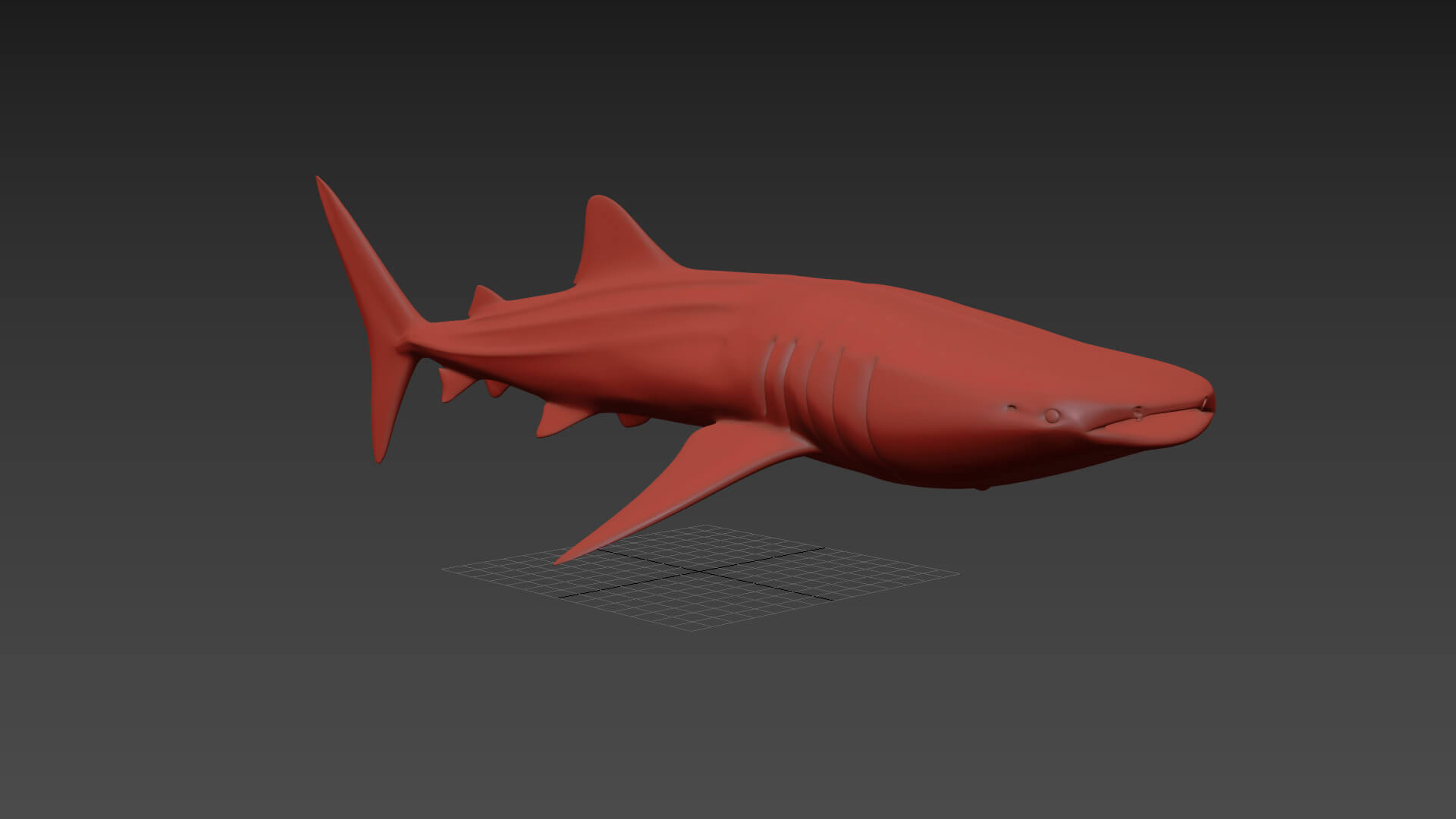 Real Whale Shark 8K - 3D Animated by Virtual creator