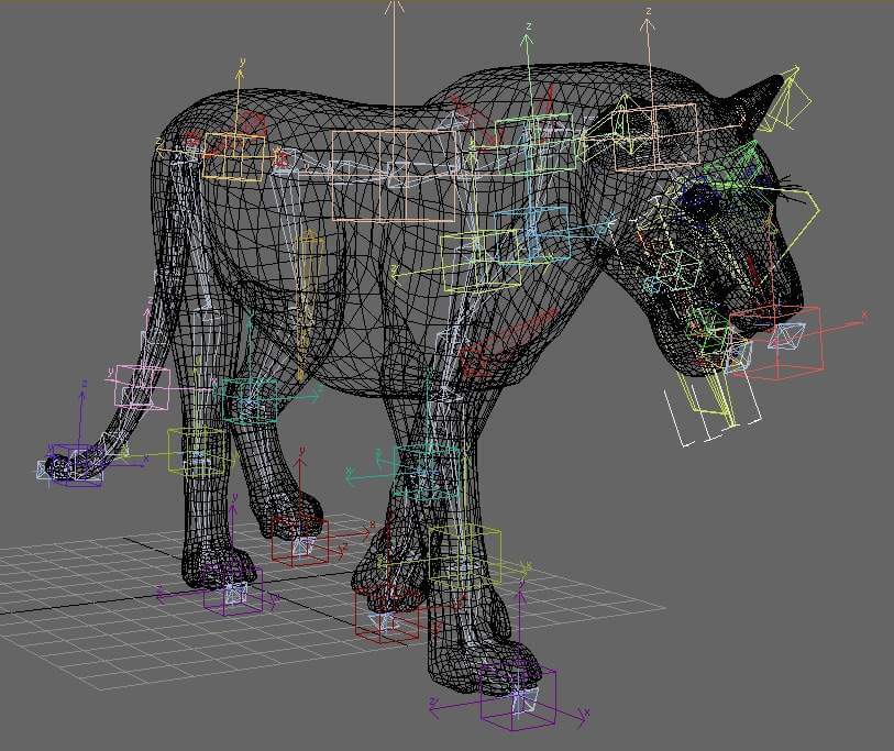 Leopard (No Fur) - 3D Model by Virtual creator