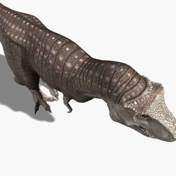 Rex Nest - 3D Model by Virtual creator