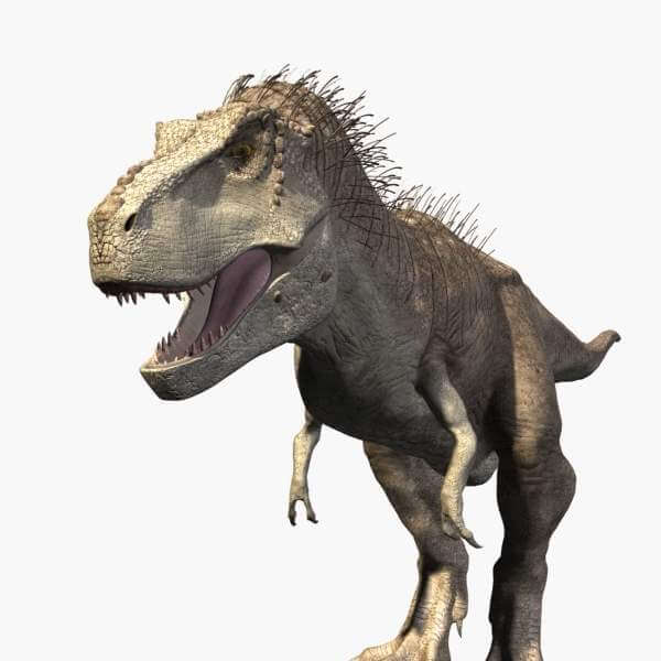 Rex Nest - 3D Model by Virtual creator