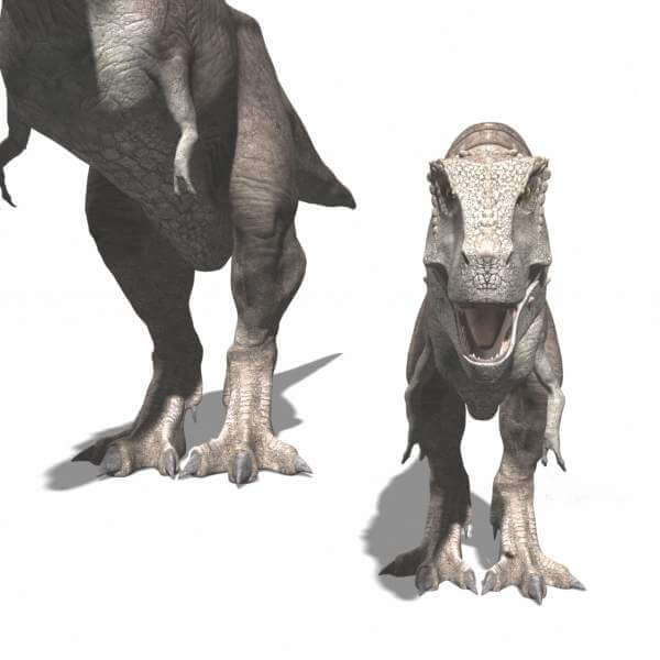Rex Nest - 3D Model by Virtual creator