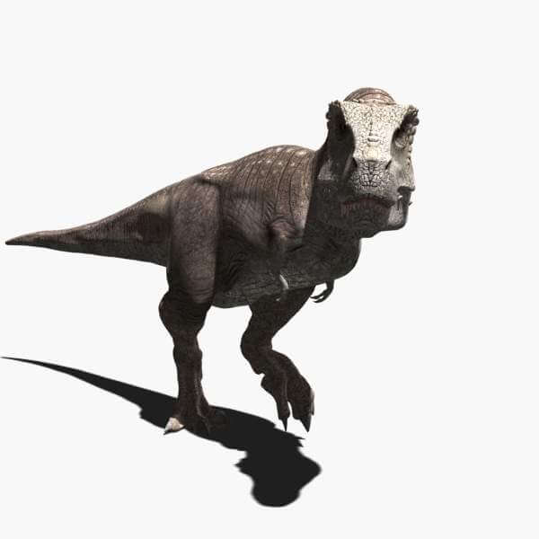 Rex Nest - 3D Model by Virtual creator