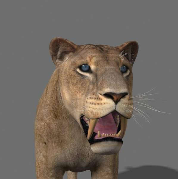 Sabretooth - 3D Model by Virtual creator