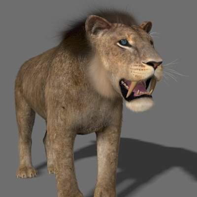 Sabretooth - 3D Model by Virtual creator