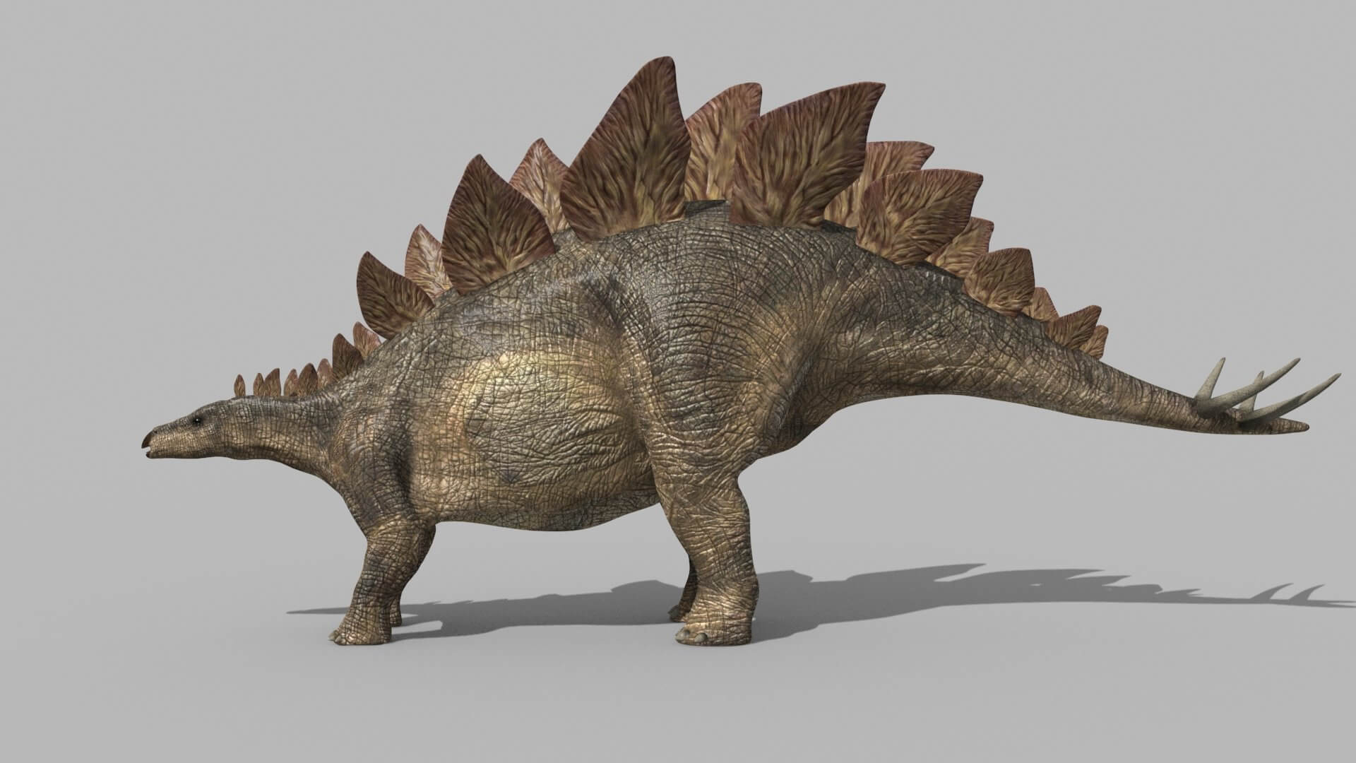Stegosaur Forever - 8K 3D Model by Virtual creator