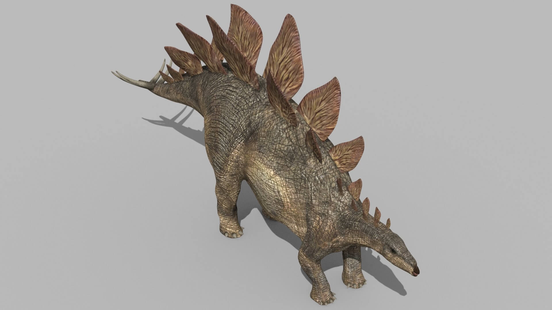 Stegosaur Forever - 8K 3D Model by Virtual creator