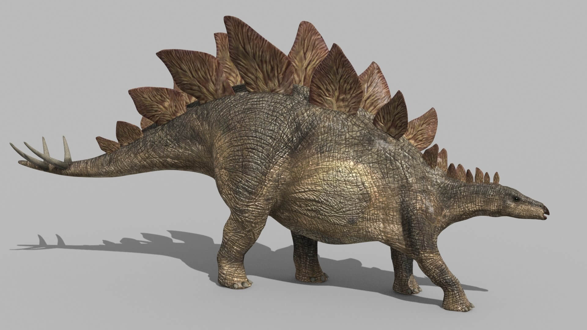 Stegosaur Forever - 8K 3D Model by Virtual creator