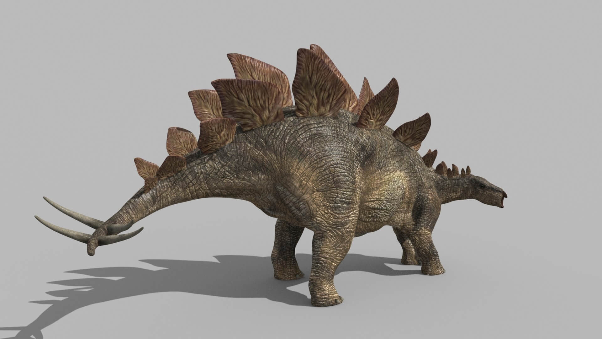Stegosaur Forever - 8K 3D Model by Virtual creator