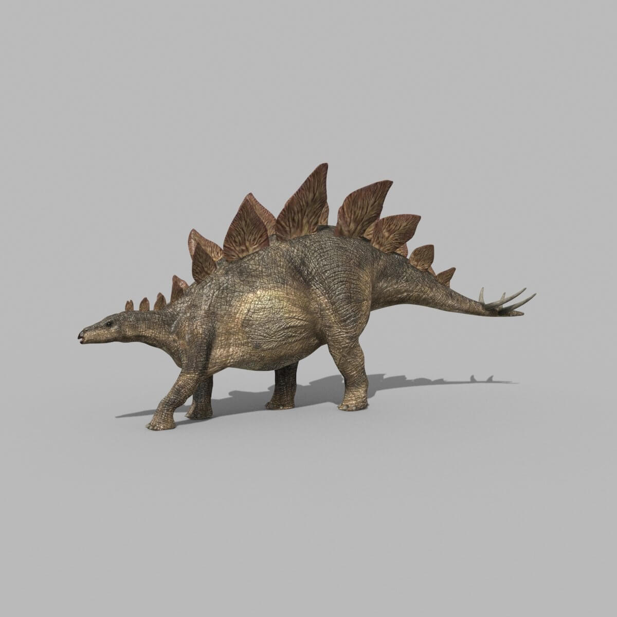 Stegosaur Forever - 8K 3D Model by Virtual creator