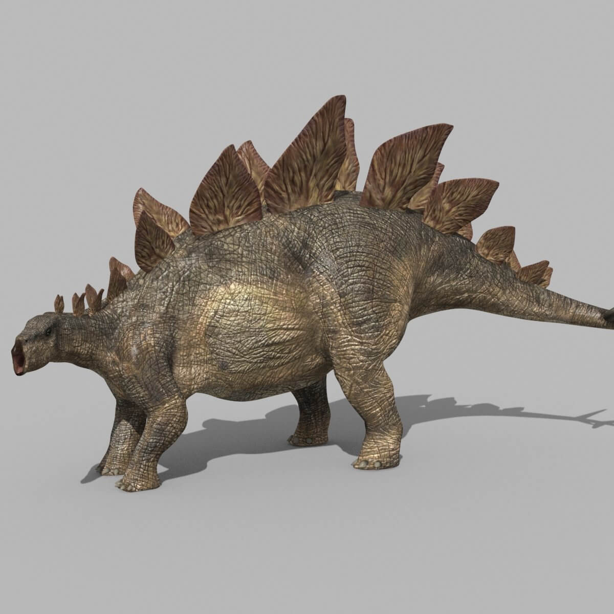 Stegosaur Forever - 8K 3D Model by Virtual creator