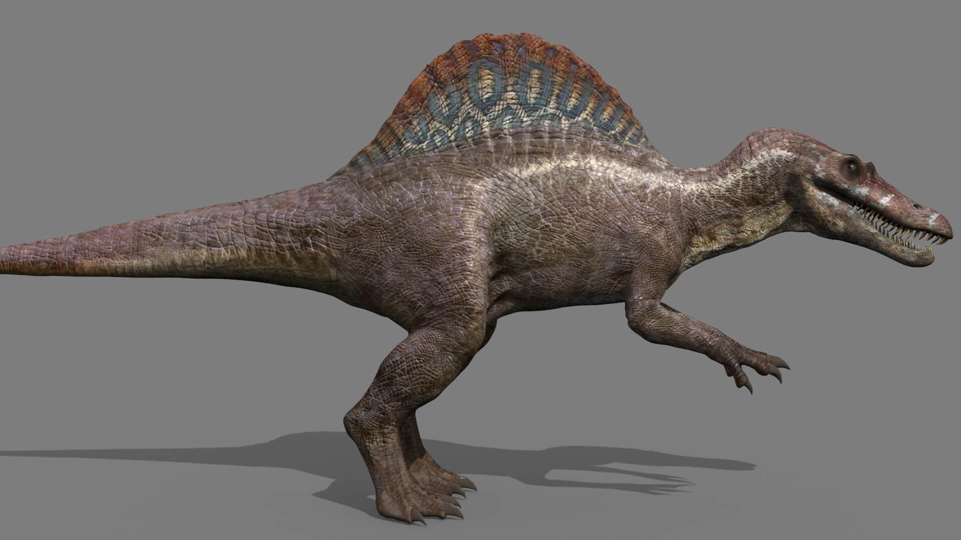 Suchomimus Mongolica - 8K (JP3 Spinosaur) 3D Model by Virtual creator