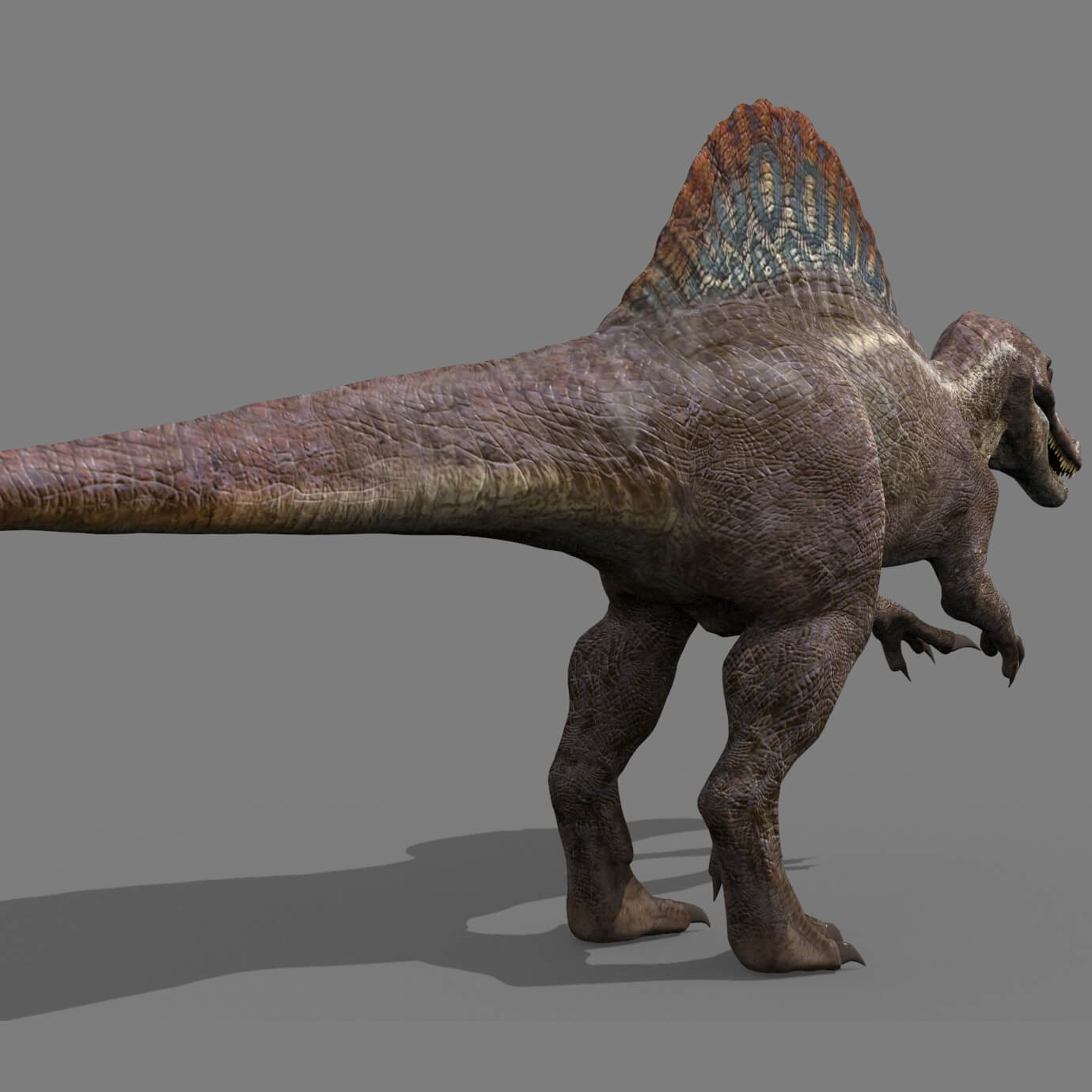 Suchomimus Mongolica - 8K (JP3 Spinosaur) 3D Model by Virtual creator