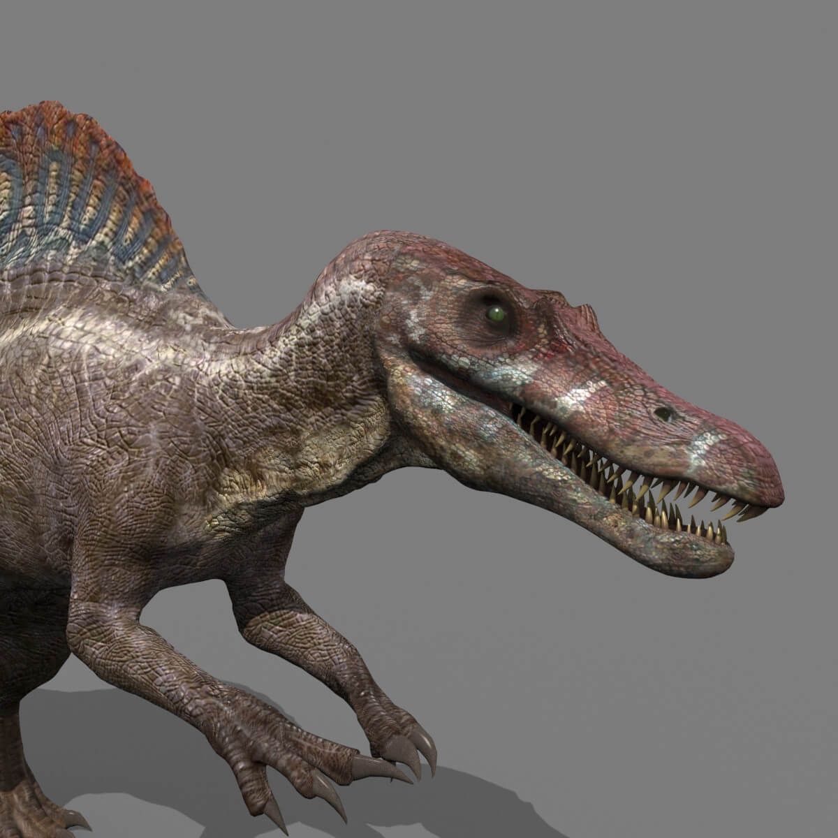 Suchomimus Mongolica - 8K (JP3 Spinosaur) 3D Model by Virtual creator