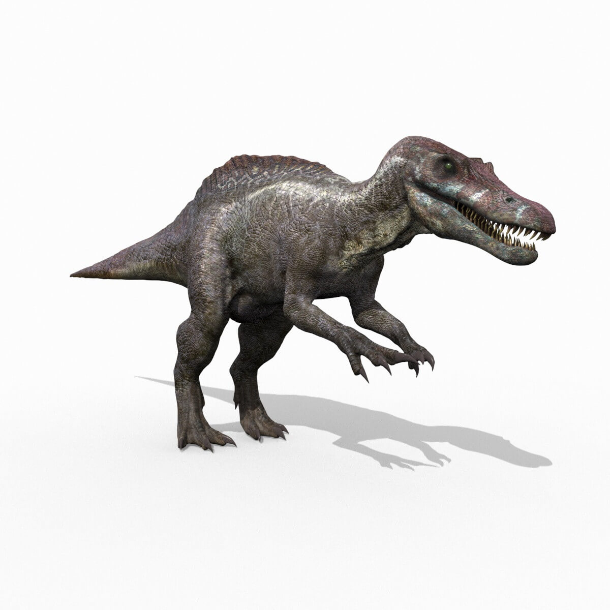Suchomimus Tenerensis - 8K 3D Model by Virtual creator