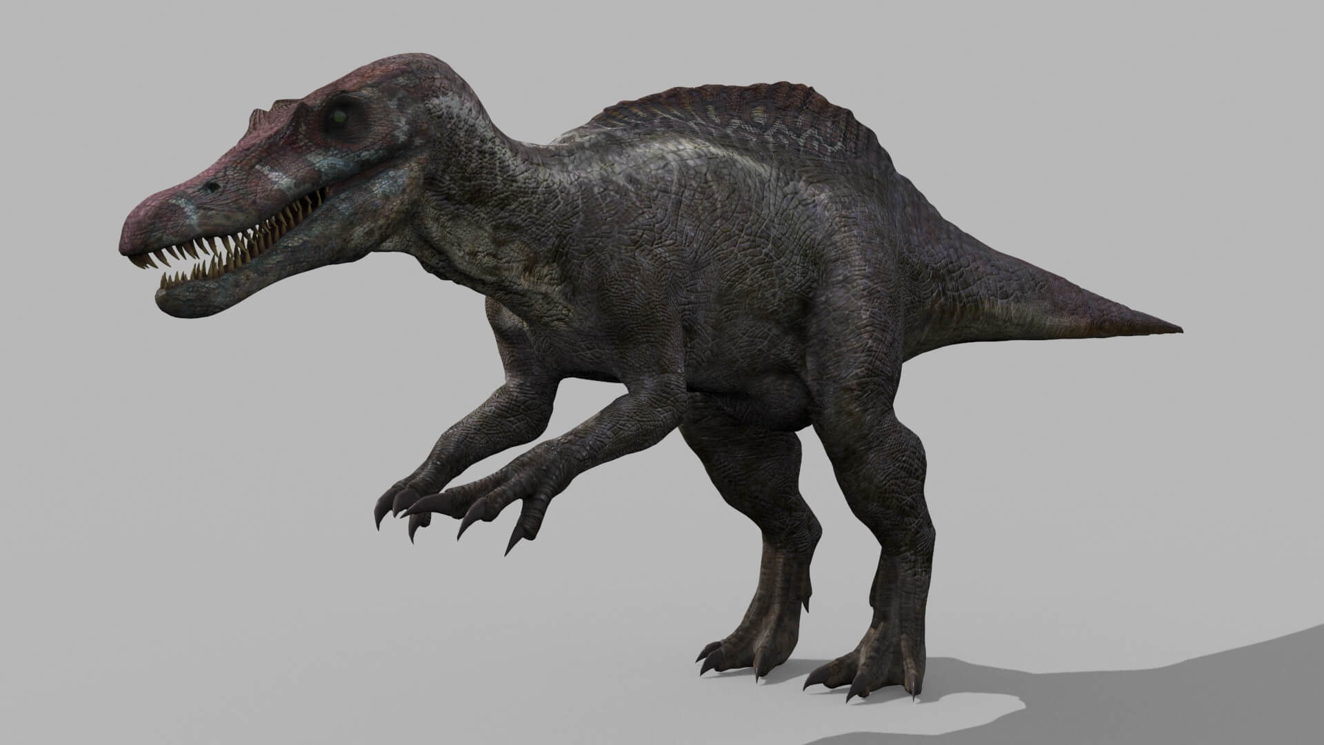 Suchomimus Tenerensis - 8K 3D Model by Virtual creator