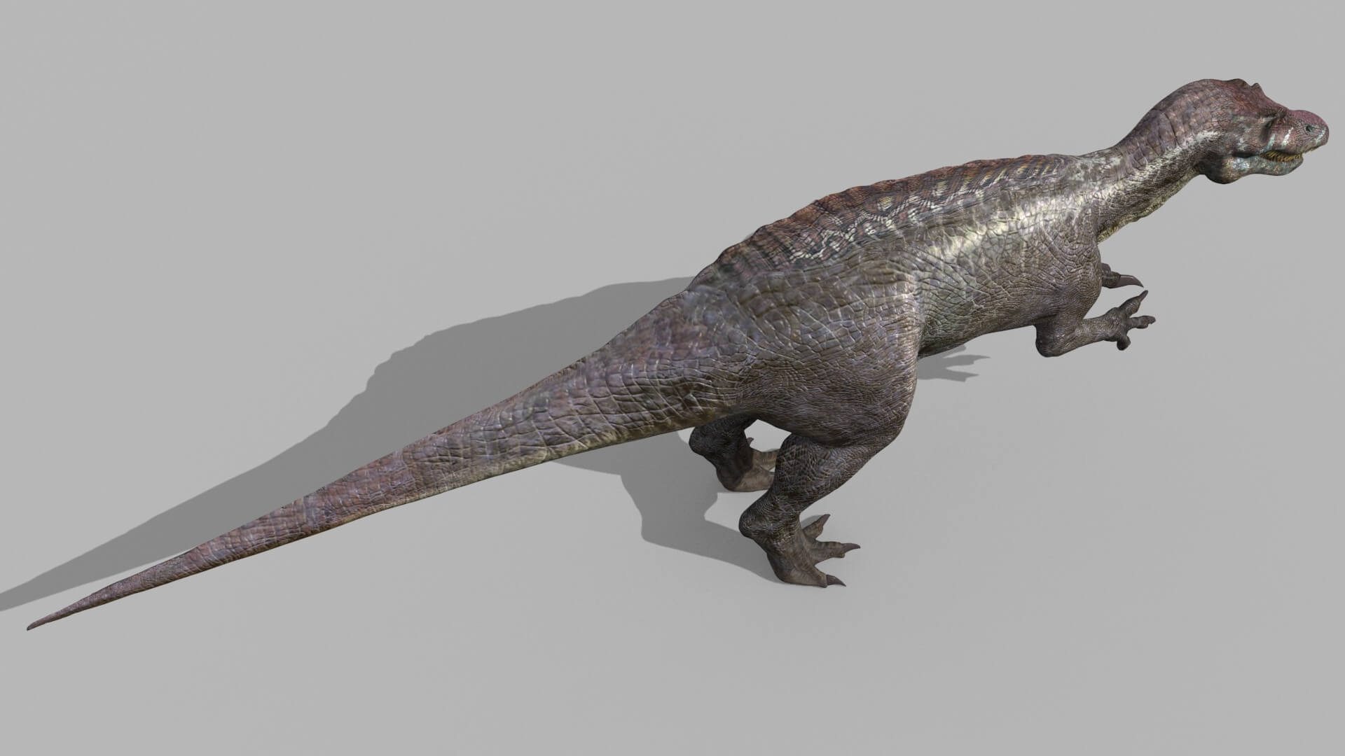 Suchomimus Tenerensis - 8K 3D Model by Virtual creator
