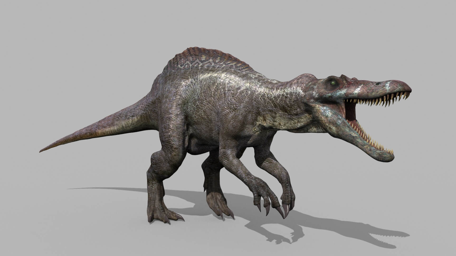 Suchomimus Tenerensis - 8K 3D Model by Virtual creator