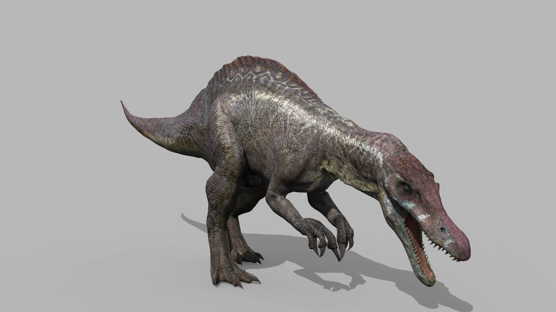 Suchomimus Tenerensis - 8K 3D Model by Virtual creator