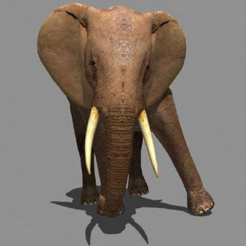 Elephant - 3D Model by Virtual creator