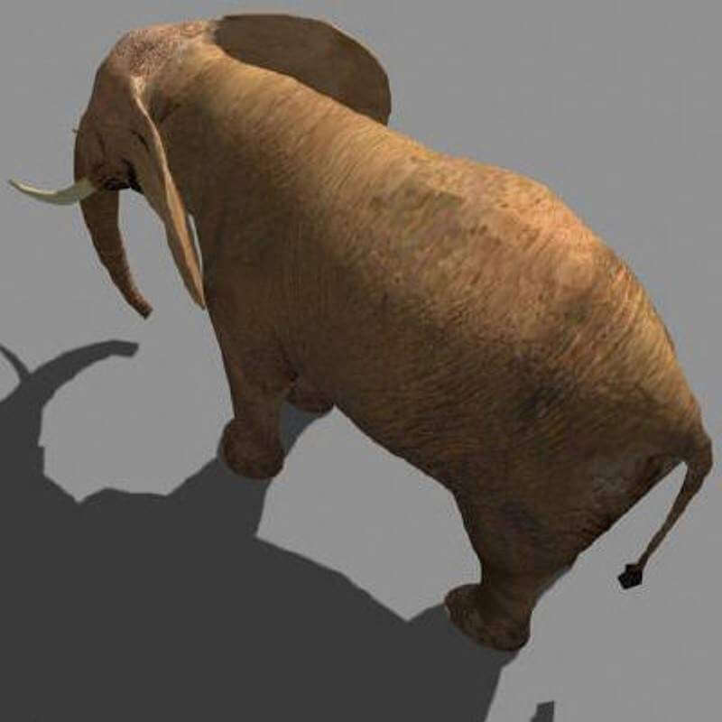 Elephant - 3D Model by Virtual creator