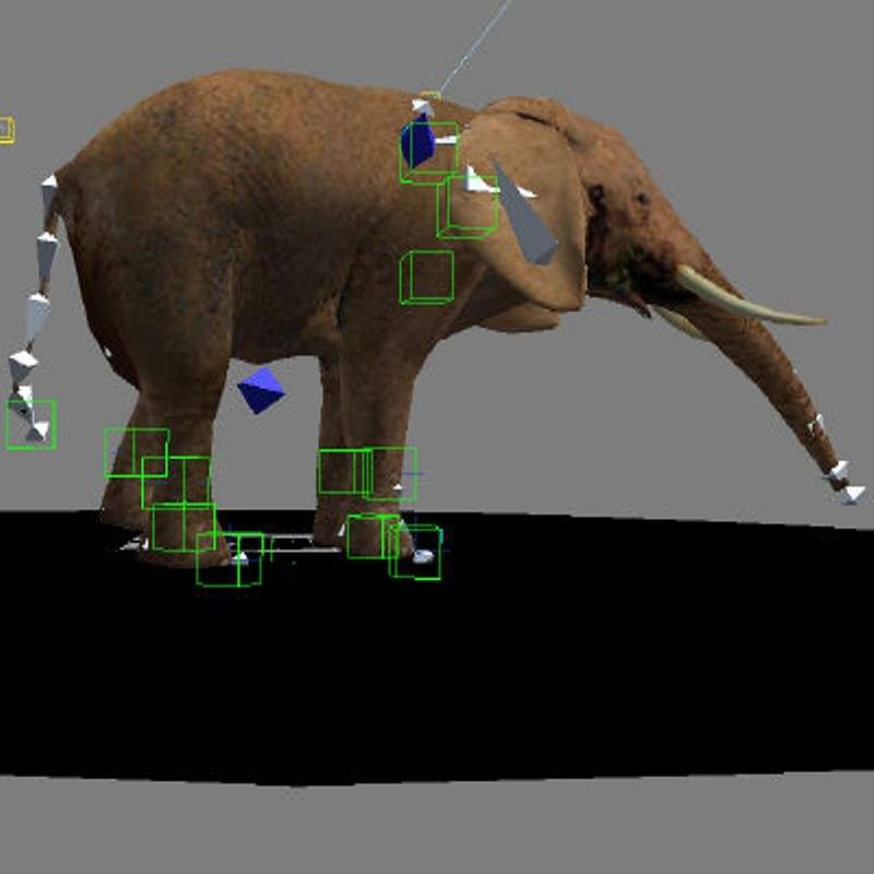 Elephant - 3D Model by Virtual creator