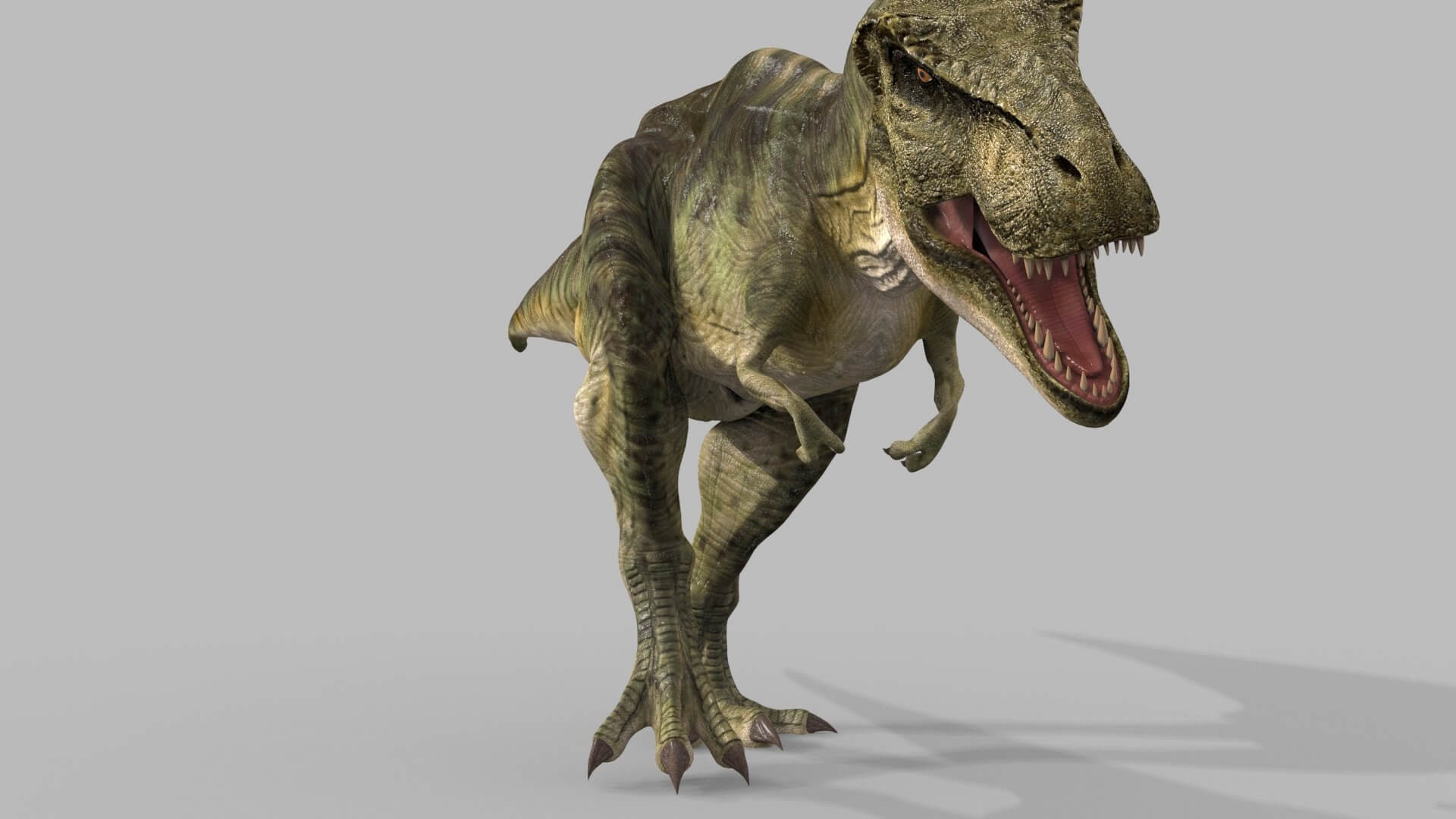 T Rex Forever - 8K 3D Model by Virtual creator
