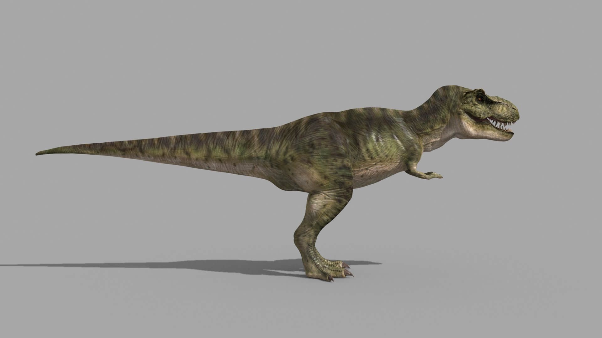 T Rex Premium 8K - 3D Model by Virtual creator