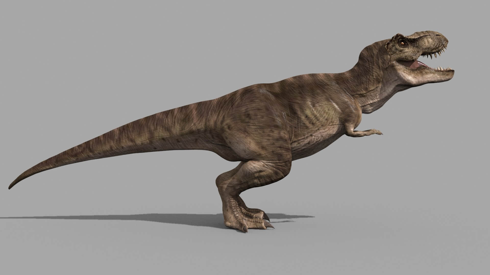 T Rex Premium 8K - 3D Model by Virtual creator