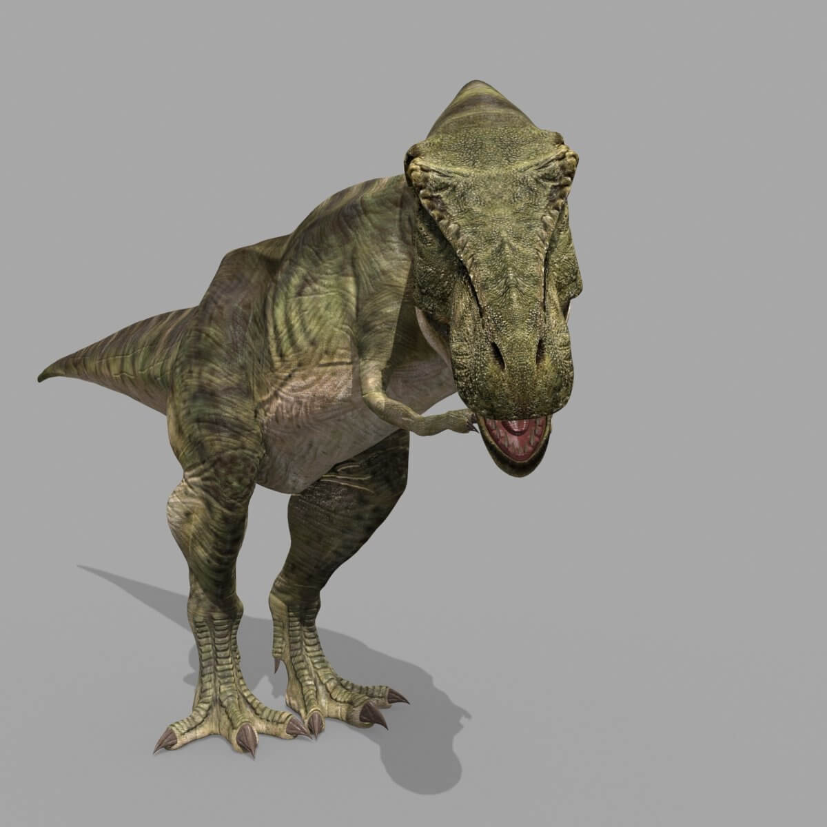 T Rex Premium 8K - 3D Model by Virtual creator