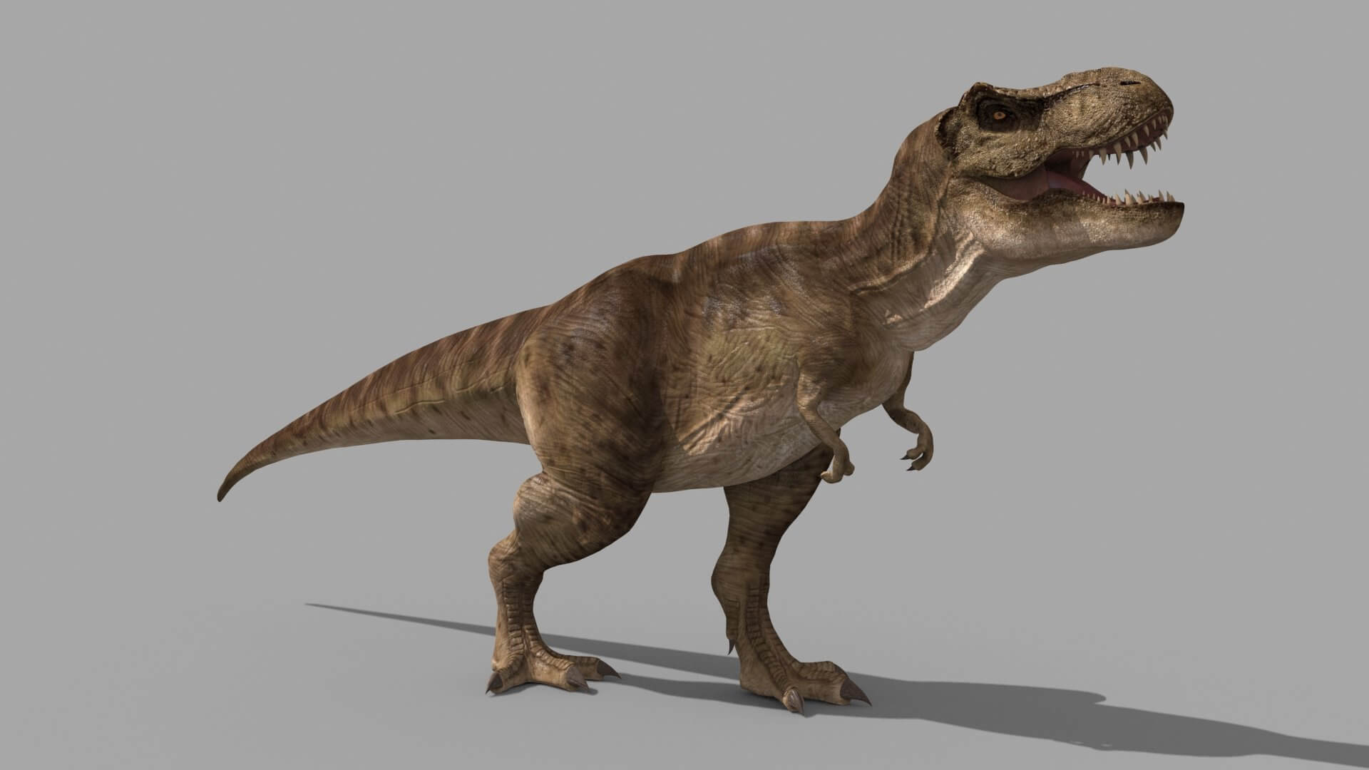T Rex Premium 8K - 3D Model by Virtual creator