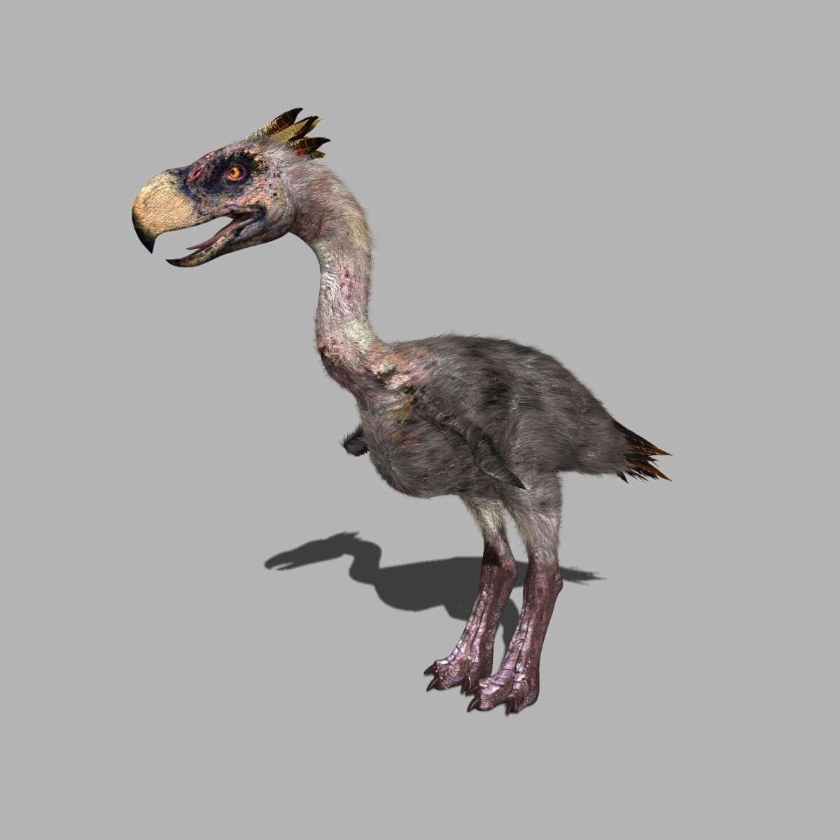 Terror Bird (Phorusrhacos) - 3D Model by Virtual creator