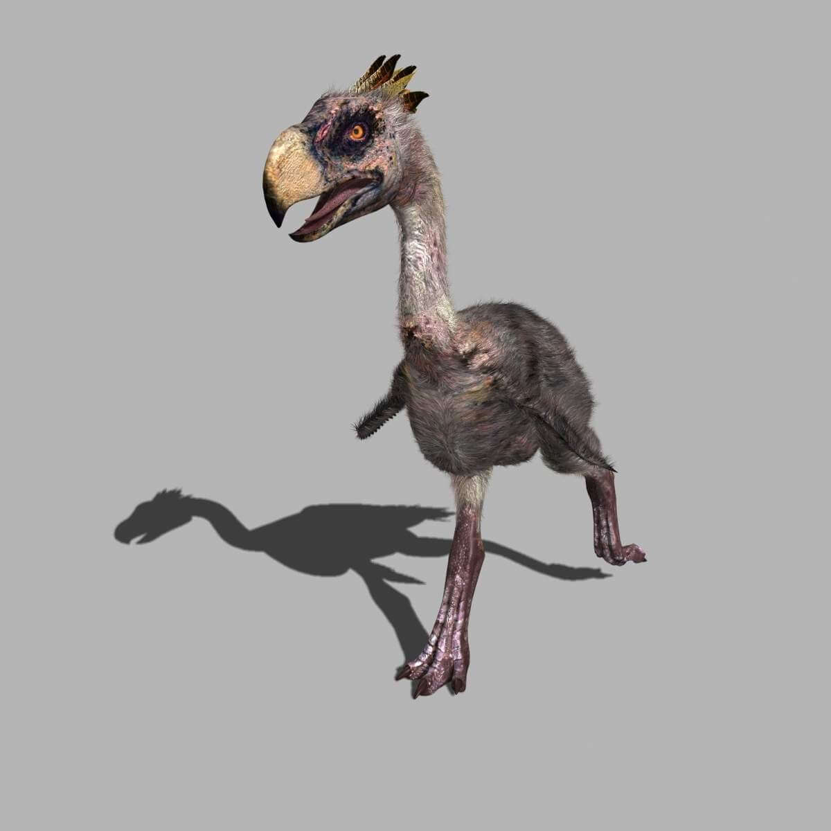 Terror Bird (Phorusrhacos) - 3D Model by Virtual creator