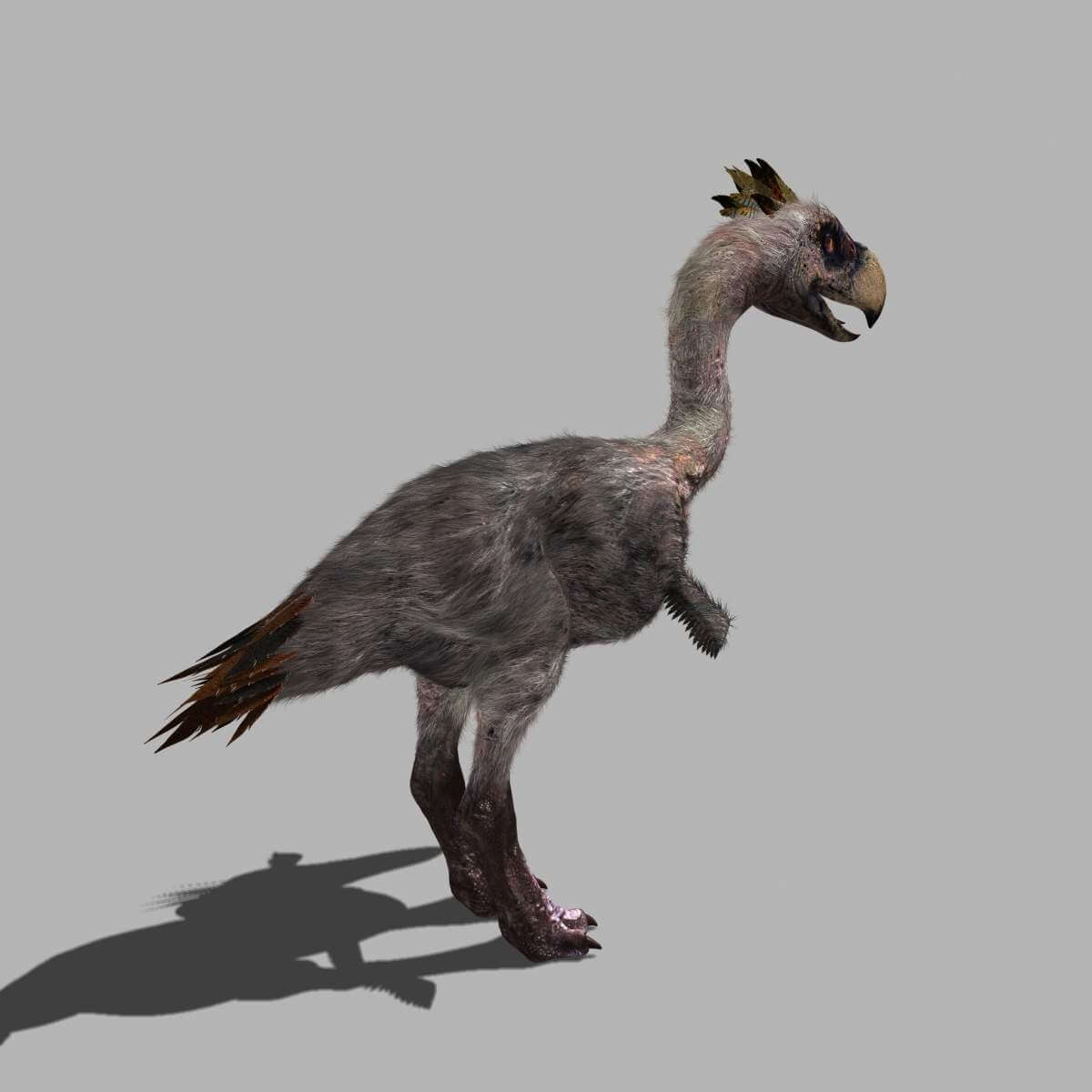 Terror Bird (Phorusrhacos) - 3D Model by Virtual creator