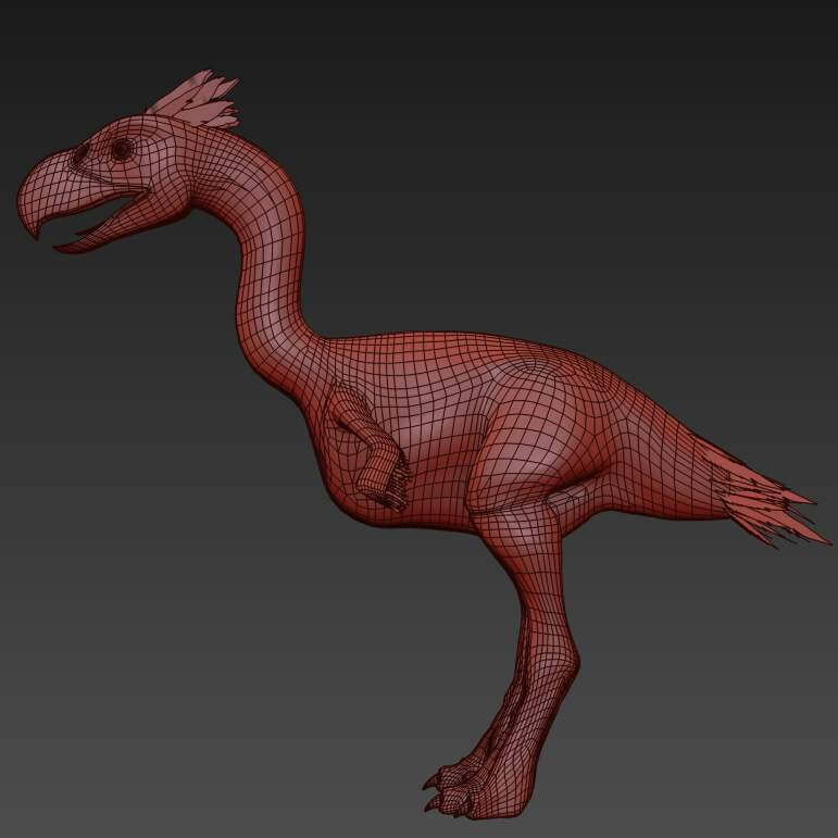 Terror Bird (Phorusrhacos) - 3D Model by Virtual creator