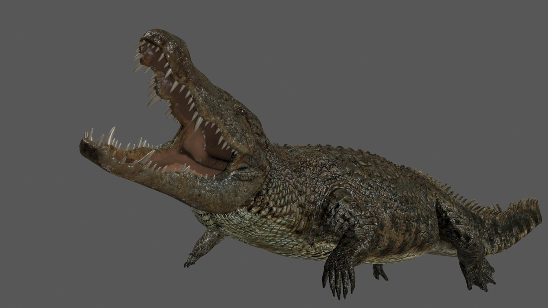 Terror Croc PRO - 8K Crocodile 3D Model by Virtual creator