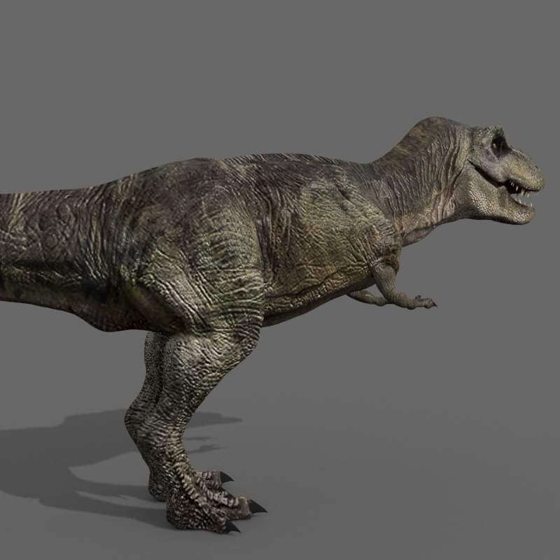 T-Rex 3D Model by Virtual creator
