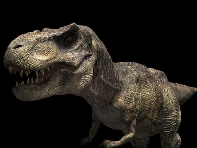 T-Rex 3D Model by Virtual creator