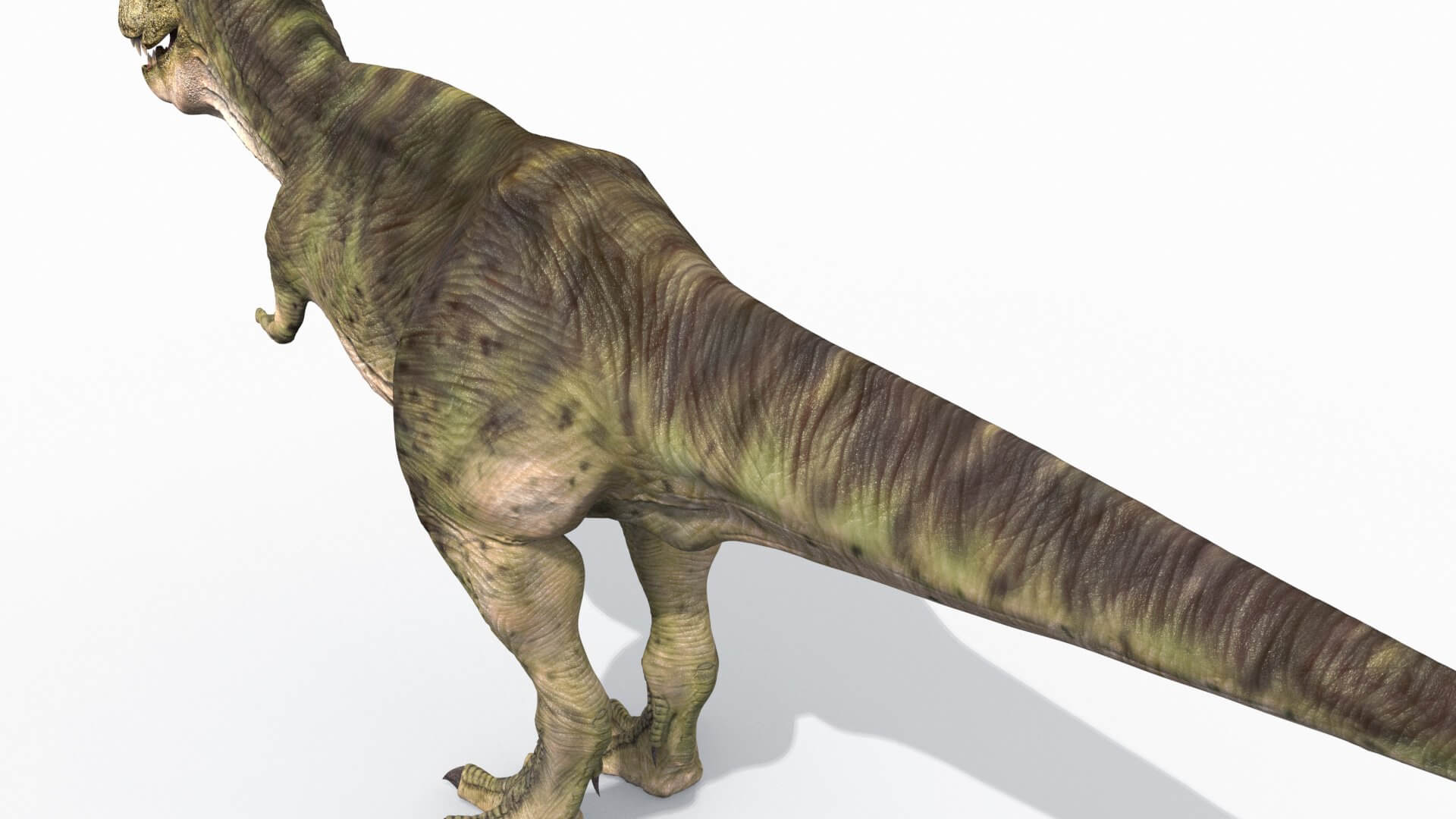 The T-Rex 3D Model by Virtual creator