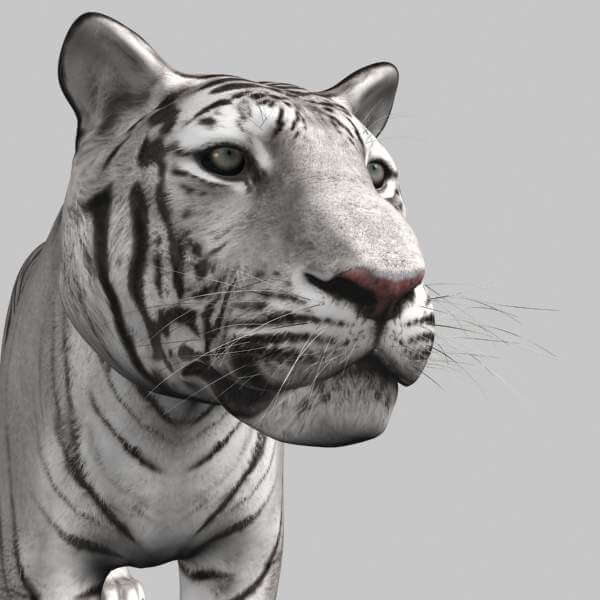 Ultimate Tiger - 3D Model by Virtual creator
