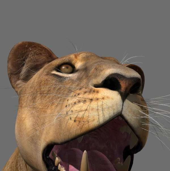 Ultimate Lioness - 3D Model by Virtual creator