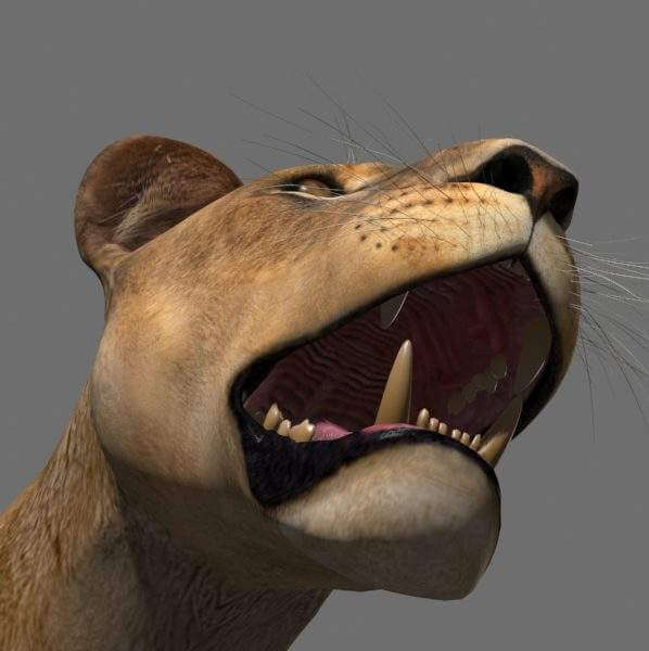 Ultimate Lioness - 3D Model by Virtual creator