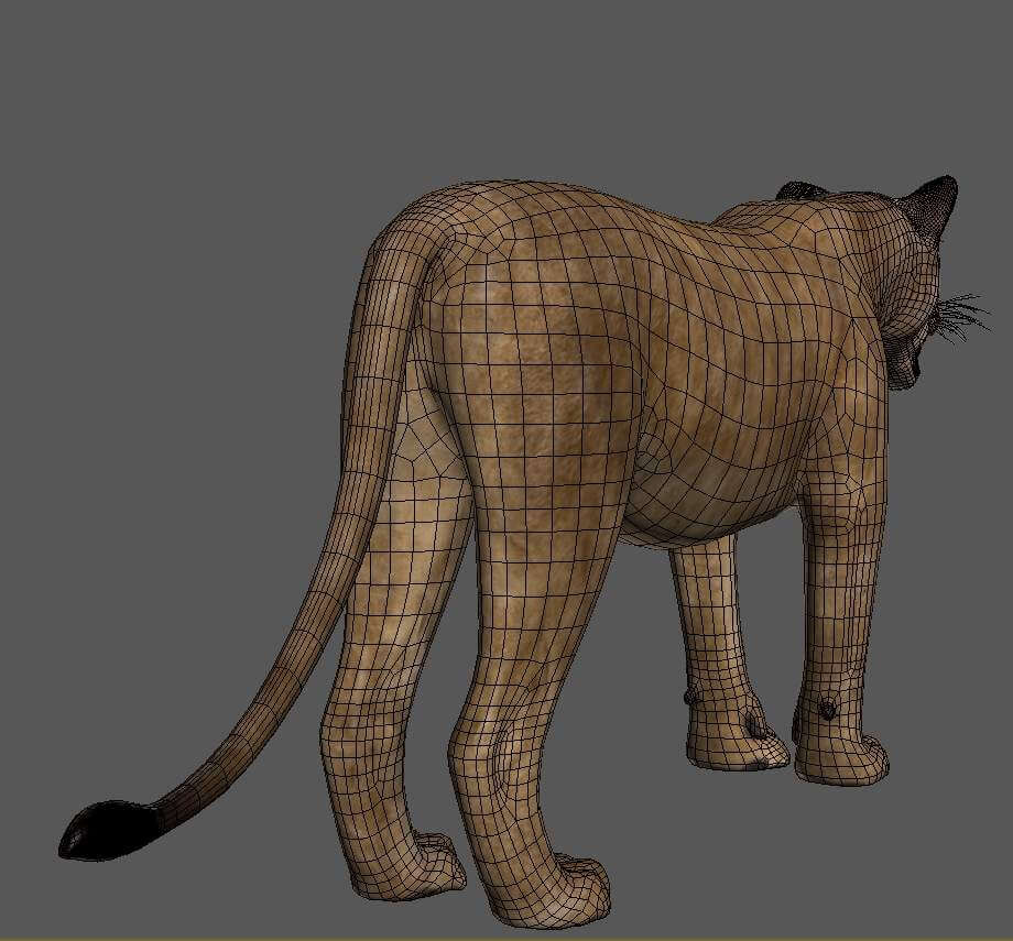 Ultimate Lioness - 3D Model by Virtual creator
