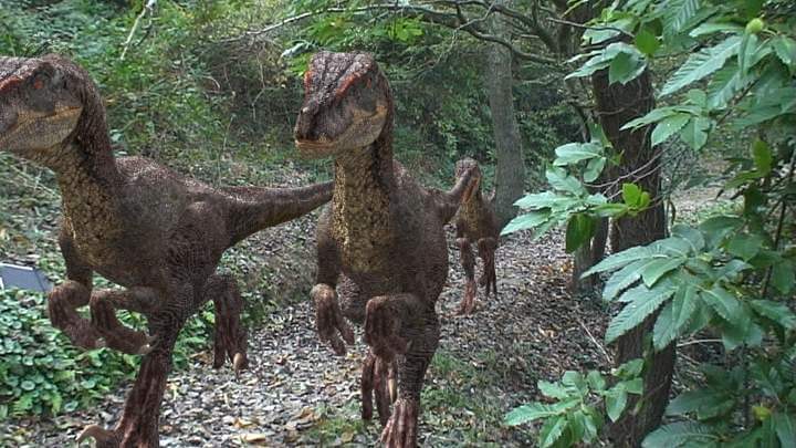 Raptor - 3D Model by Virtual creator