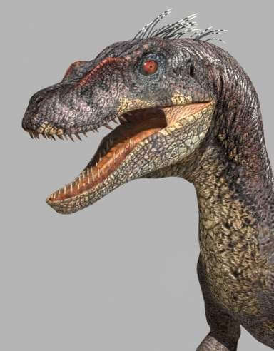 Raptor - 3D Model by Virtual creator